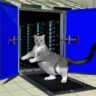 Generate images with Azure OpenAI Service (DALL-E) and Azure SQL ...