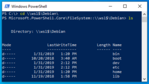 What’s new for WSL in Windows 10 version 1903? - Windows Command Line