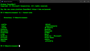 Windows Terminal Tips and Tricks - Windows Command Line