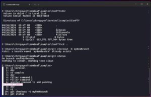 Windows Terminal Preview 1.22 Release - Windows Command Line
