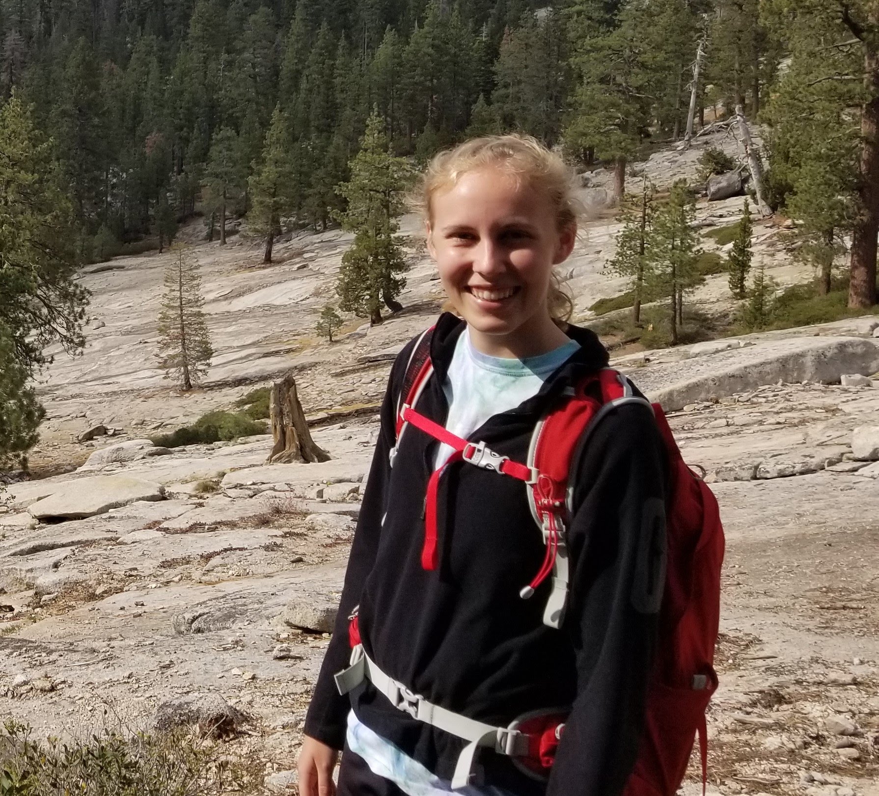 Blazor WebAssembly 3.2.0 Preview 2 release now available - .NET Blog