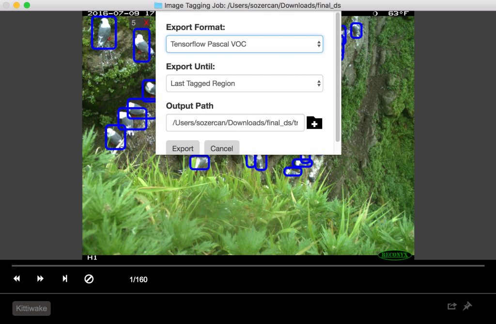 Bird Detection with Azure ML Workbench - ISE Developer Blog
