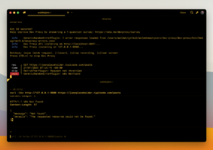 Dev Proxy v0.24 with improved generating OpenAPI specs