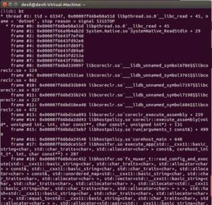 Debugging .NET core with SOS everywhere - Developer Support