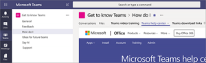 Integration of Power Apps with Microsoft Teams - Developer Support