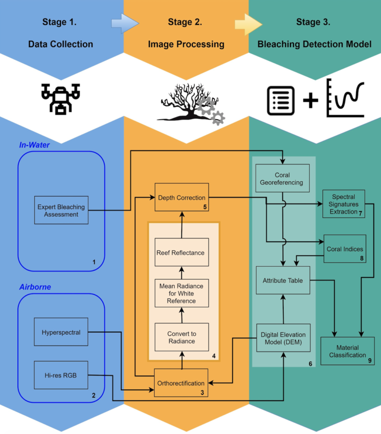 Using ML to monitor coral reef bleaching - Sustainable Software