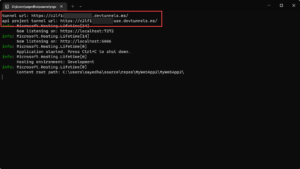 Public preview of dev tunnels in Visual Studio for ASP.NET Core projects - Visual Studio Blog