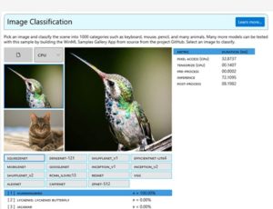 Introducing the Windows ML Samples Gallery - Windows AI Platform
