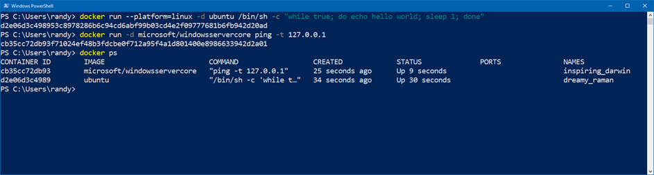 Windows Docker Run